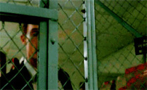 GIF true detective rust cohle - animated GIF on GIFER