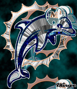 GIF miami dolphins - animated GIF on GIFER