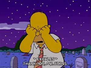 Homer simpson episode 10 season 14 GIF - Find on GIFER