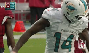 GIF miami dolphins - animated GIF on GIFER