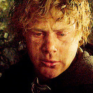 Sam the lord of the rings merry GIF - Find on GIFER