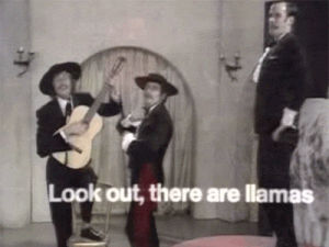 Monty python flying circus GIF - Find on GIFER