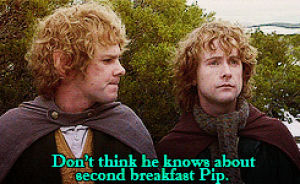 Sam the lord of the rings frodo GIF - Find on GIFER