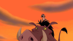 GIF timon - animated GIF on GIFER - by Arashiran