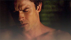 GIF true lies - animated GIF on GIFER