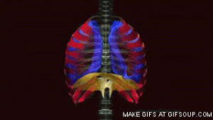 GIF breathing - animated GIF on GIFER