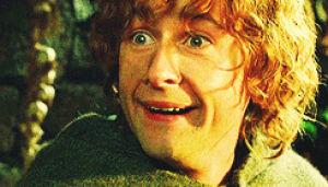 Pippin GIF - Find on GIFER
