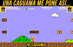 Cerveza borrachos chela GIF - Find on GIFER