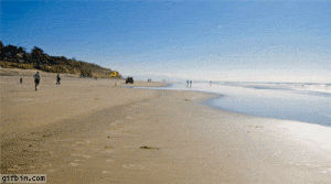 Hawaii beach aloha GIF on GIFER - by Meztikree