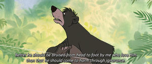 Baloo walt disney GIF on GIFER - by Dodal