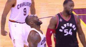 Cavs excited lebron james GIF - Find on GIFER