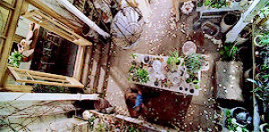 Sandra bullock nicole kidman GIF - Find on GIFER