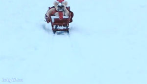 Rolling GIF - Find on GIFER