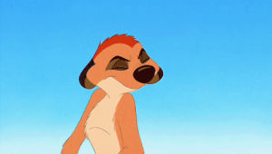 Timon GIF - Find on GIFER