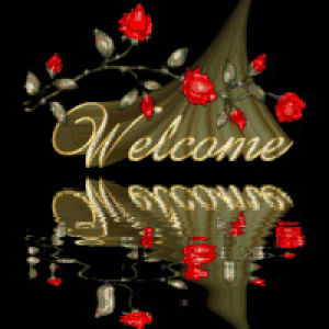 GIF youre welcome salute reaction - animated GIF on GIFER - by Gogar
