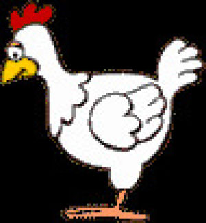 Chicken gallina pollo GIF - Find on GIFER