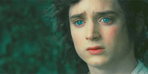 Frodo GIF - Find on GIFER