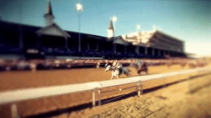 Kentucky derby horse racing GIF on GIFER - by Te