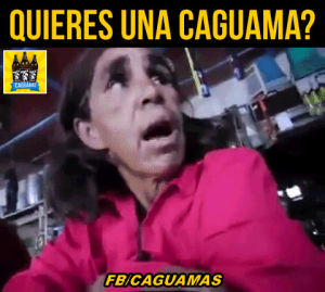 Cerveza borracho peda GIF - Find on GIFER