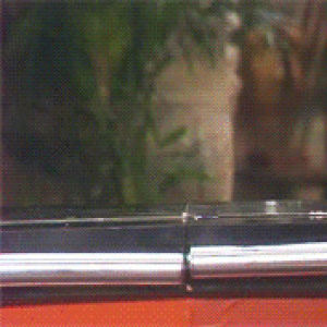 Jack tripper apartamento para tres threes company GIF - Find on GIFER
