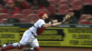 Baseball mlb happy birthday GIF - Find on GIFER