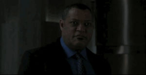 GIF eyebrow raise reactions smiling - animated GIF on GIFER