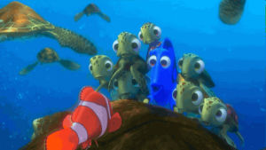 Dori GIF - Find on GIFER