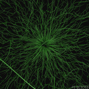 3d abstract cinema 4d GIF - Find on GIFER