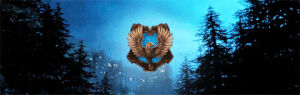 Ravenclaw GIF - Find on GIFER
