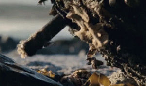 Гифка прозрачный взрыв взрывается гиф картинка, скачать gif на GIFER