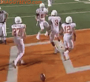 GIF texas longhorns - animated GIF on GIFER