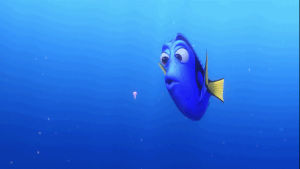 Dori GIF - Find on GIFER