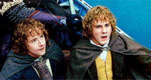GIF the lord of the rings lotr pippin - animated GIF on GIFER