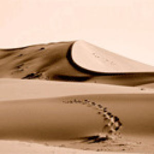 GIF desert desierto - animated GIF on GIFER - by Runewarden
