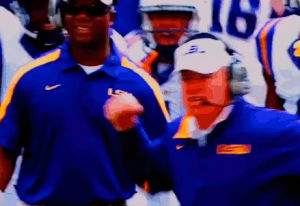 Lsu GIF - Find on GIFER