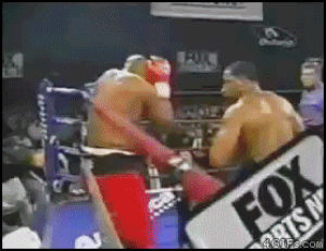 Boxing GIF on GIFER - by Dadred