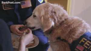 GIF 911 memorial - animated GIF on GIFER