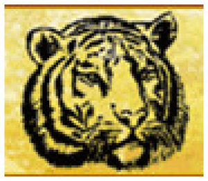 GIF cte - animated GIF on GIFER