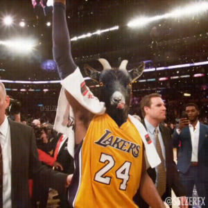 GIF kobe bryant - animated GIF on GIFER