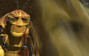 A bugs life GIF - Find on GIFER