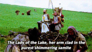 Monty python and the holy grail GIF - Find on GIFER