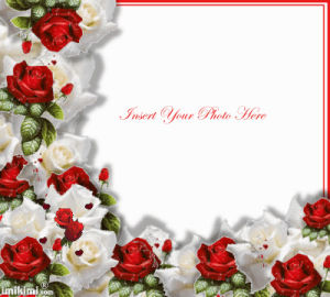 GIF frame - animated GIF on GIFER