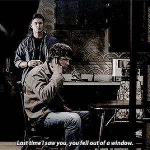 A walk in the woods GIF - Find on GIFER