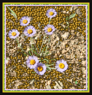 Plants GIF on GIFER - by Tygozuru