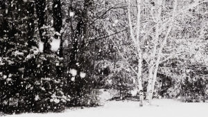 GIF christmas snow winter - animated GIF on GIFER
