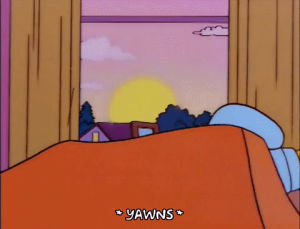 Homer simpson episode 9 season 10 GIF - Find on GIFER