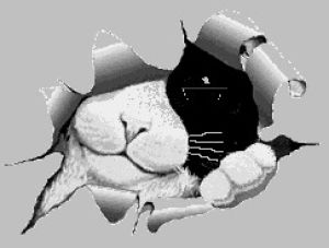 Geocities GIF - Find on GIFER