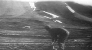 GIF world war 2 - animated GIF on GIFER