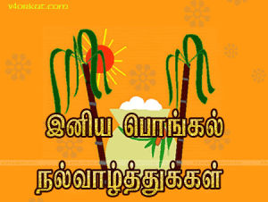 Tamil GIF - Find on GIFER