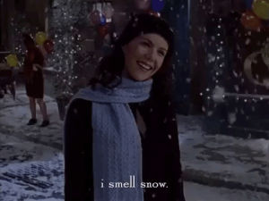 Netflix gilmore girls season 5 GIF - Find on GIFER